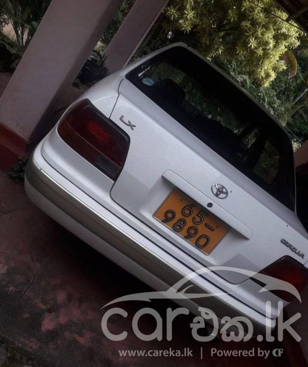 TOYOTA COROLLA 101 1997 | Careka.lk